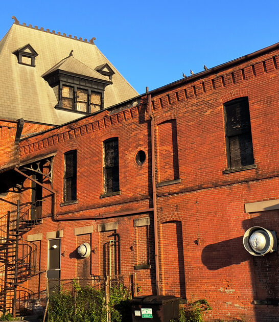 new york garbage plates ftr