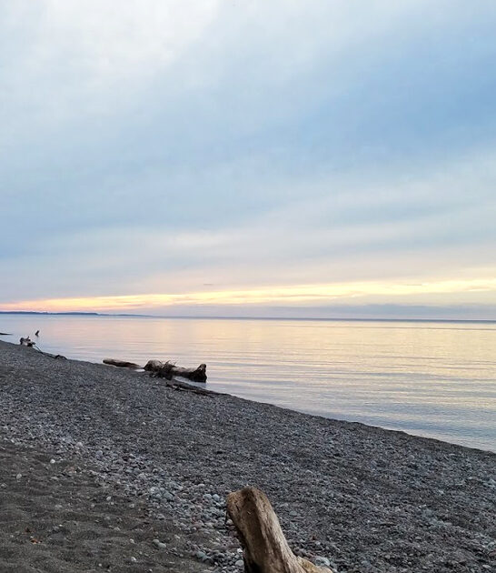 new york perfect park ftr