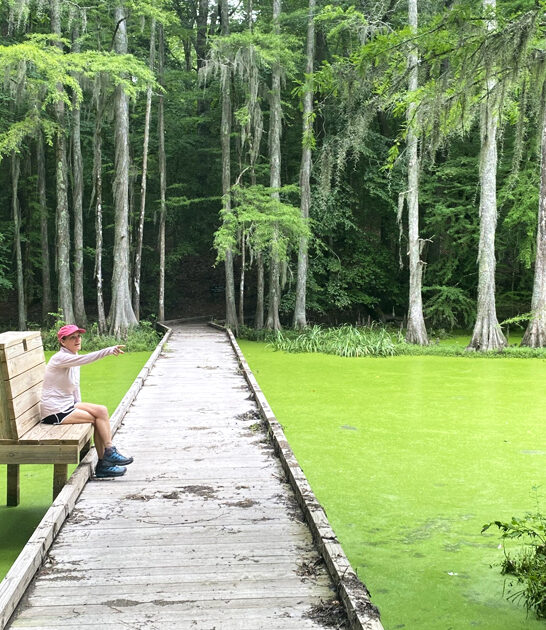north carolina beautiful park ftr