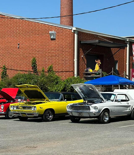 north carolina collectibles store ftr