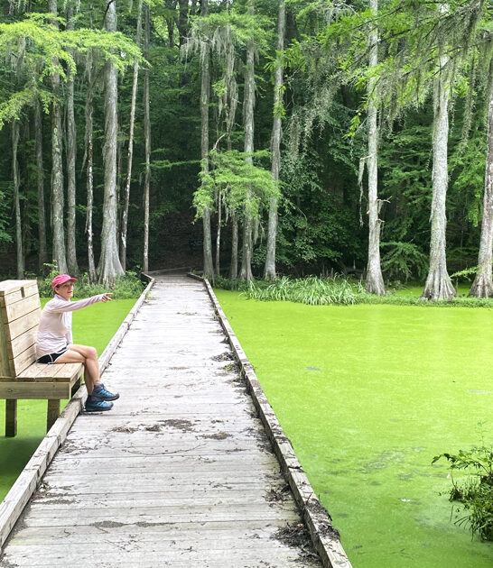 north carolina people park ftr