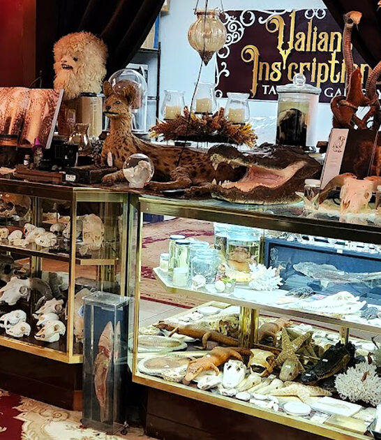 north carolina strange store ftr