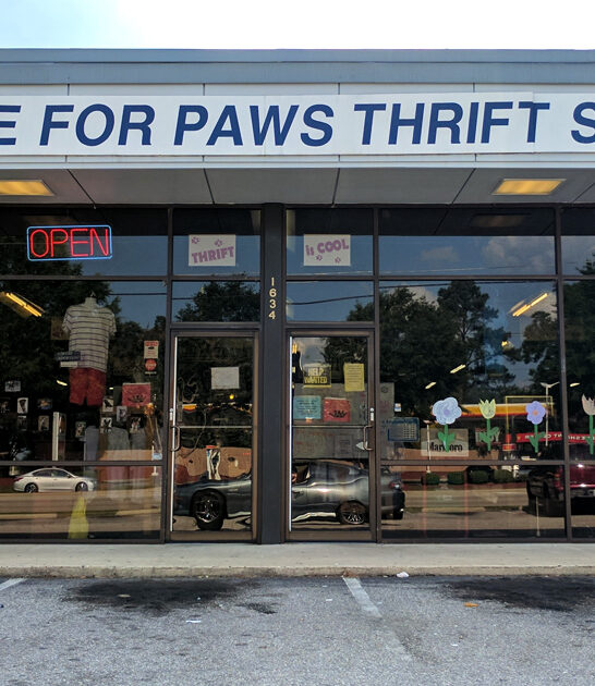 north carolina unbeatable deals ftr