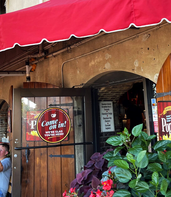 nostalgic georgia candy store ftr
