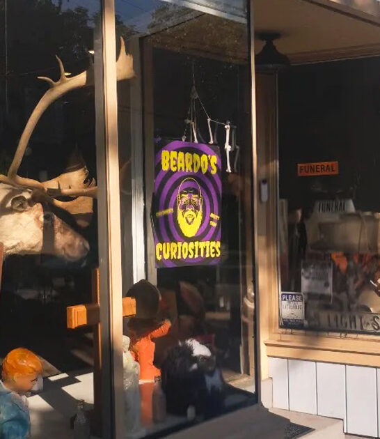 odd curiosity shop ohio ftr