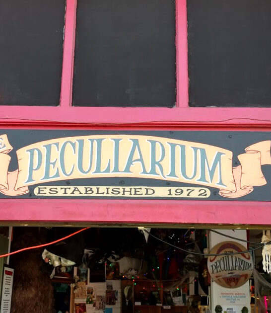 odd curiosity shop oregon ftr