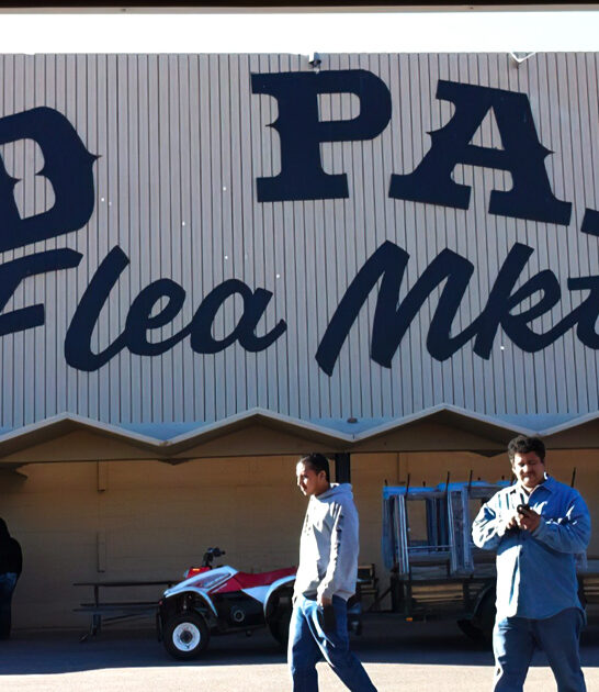 oklahoma enormous indoor flea ftr