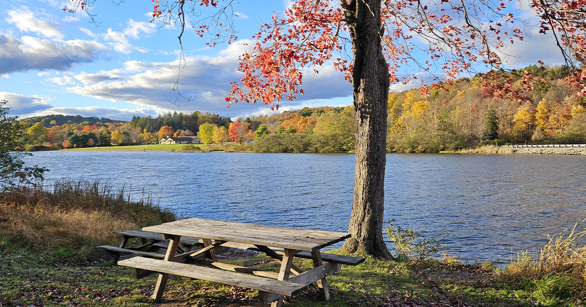 You Haven’t Explored Oklahoma Until You’ve Visited This Secret Lake