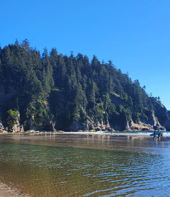 oregon coastal beach escape ftr