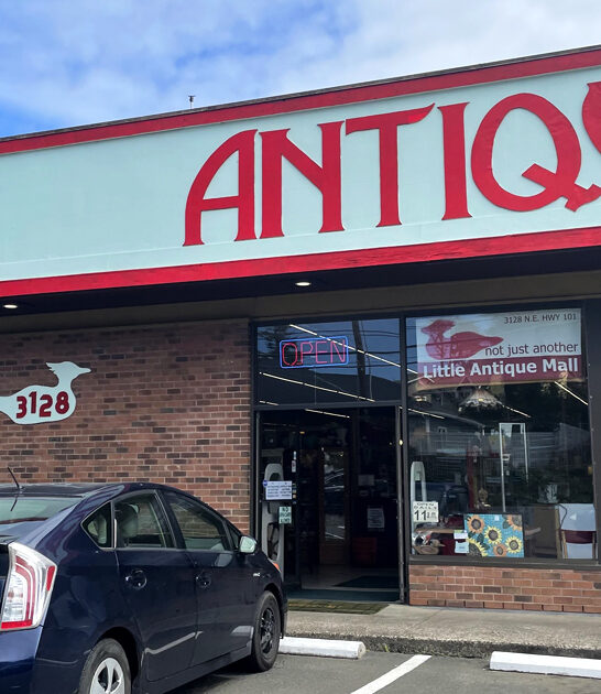 oregon enormous antique store ftr