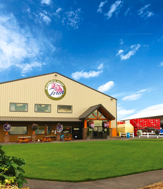 oregon mouth watering marionberry pies ftr