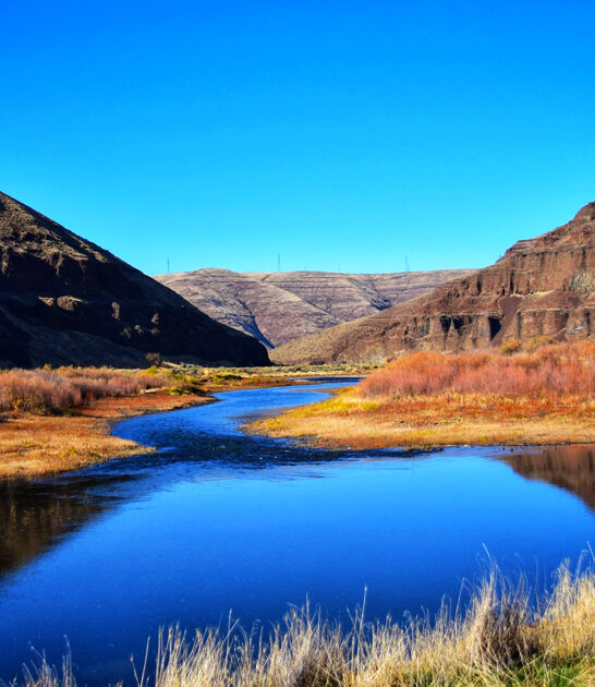 oregon quiet nature spot ftr