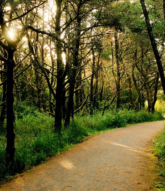 oregon scenic nature view ftr