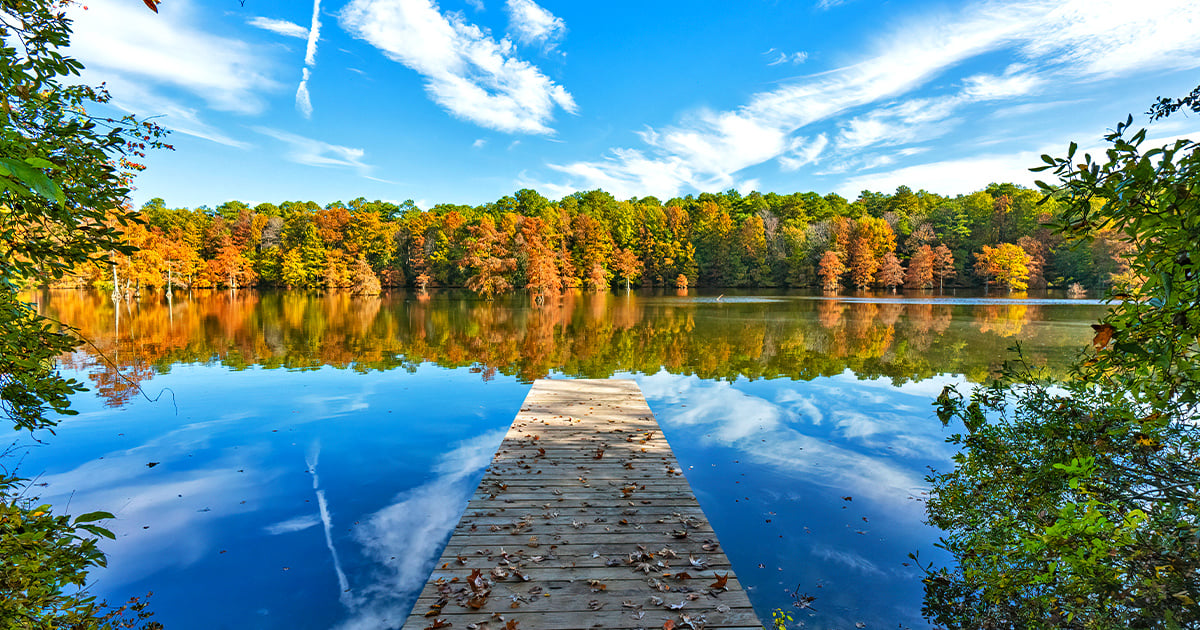 The Underrated State Park In Delaware That’s Shockingly Beautiful, And ...
