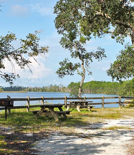 park florida fascinating ftr