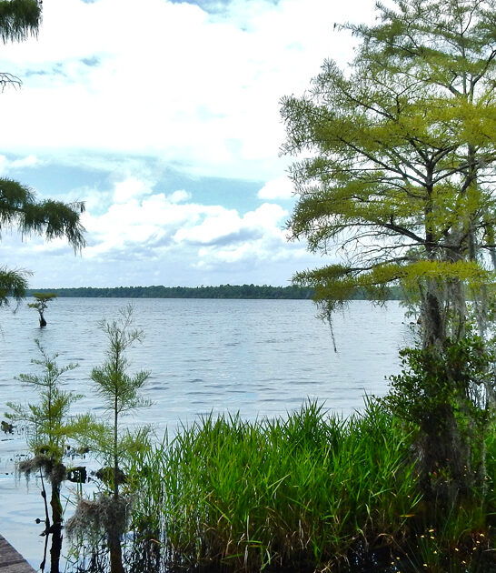 park north carolina spring ftr