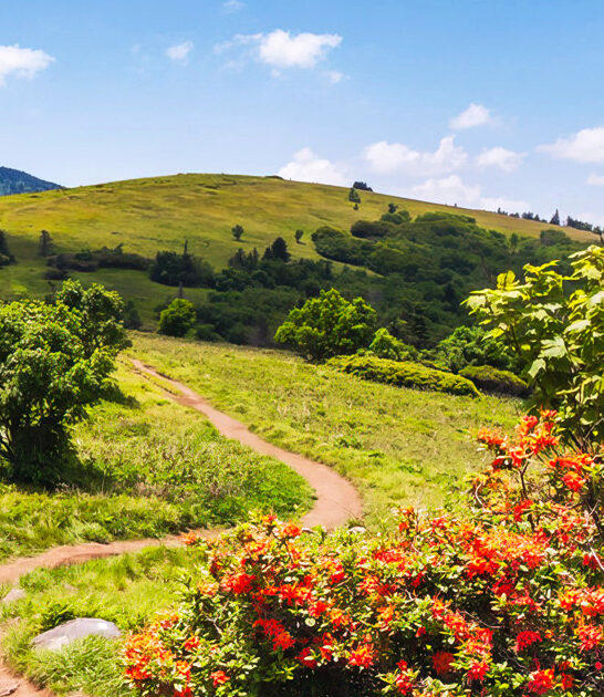 park tennessee spring trip ftr