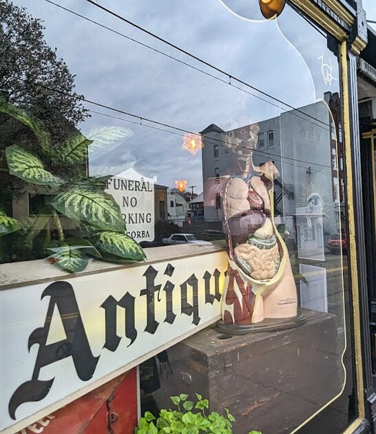 pennsylvania bizarre oddity store ftr