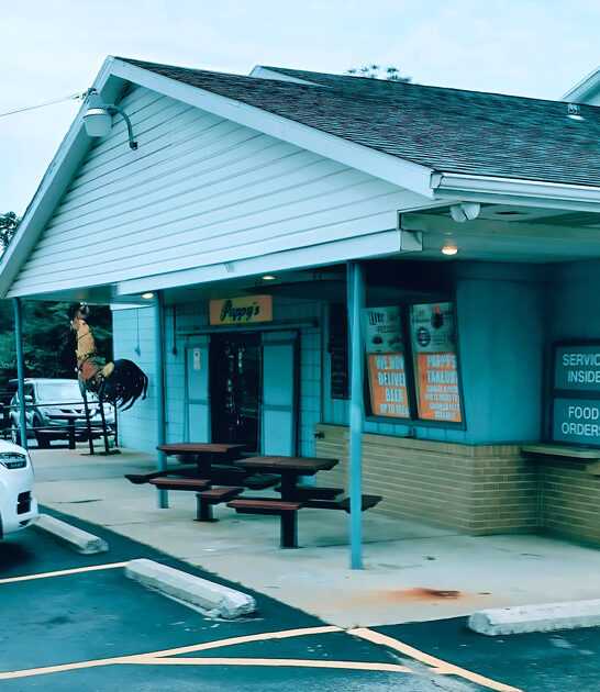 pennsylvania crispy chicken dishes ftr