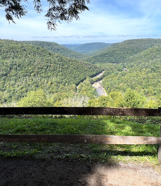 pennsylvania forest walking paths ftr
