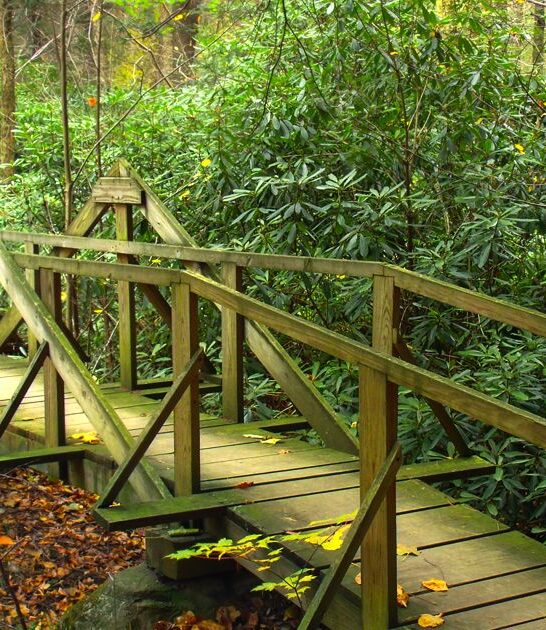 pennsylvania scenic nature hike ftr