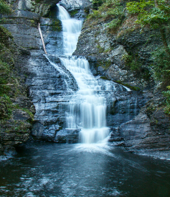 processed with snapseed.