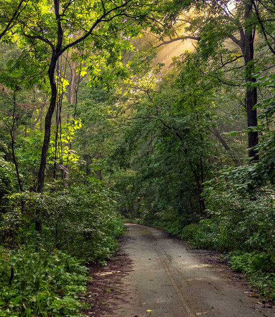 perfect getaway trip alabama ftr