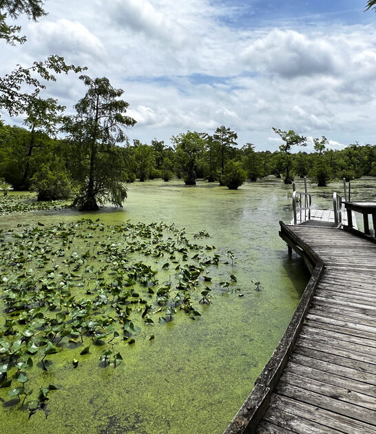 perfect park north carolina ftr