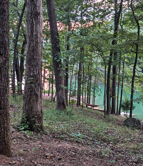 picturesque campground georgia ftr