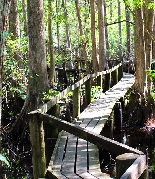 picturesque florida park ftr