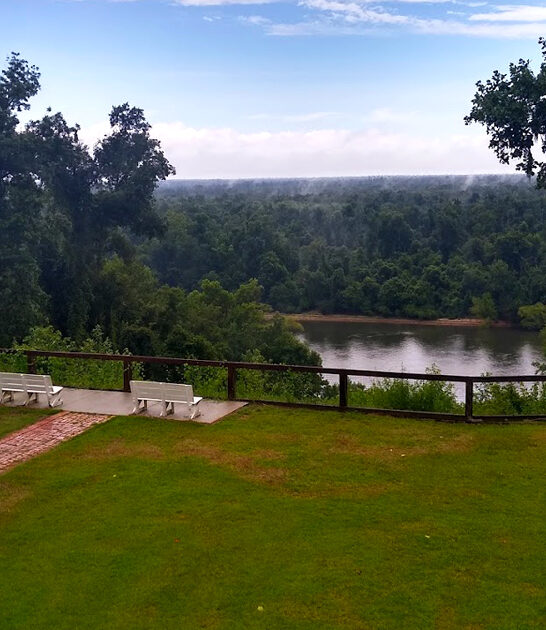 picturesque local park florida ftr