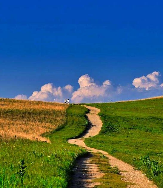picturesque mile trail kansas ftr