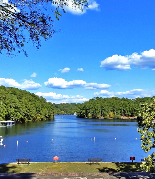 picturesque park arkansas spring ftr