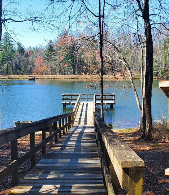 picturesque park south carolina ftr