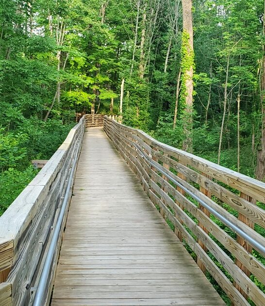 picturesque state ohio park ftr