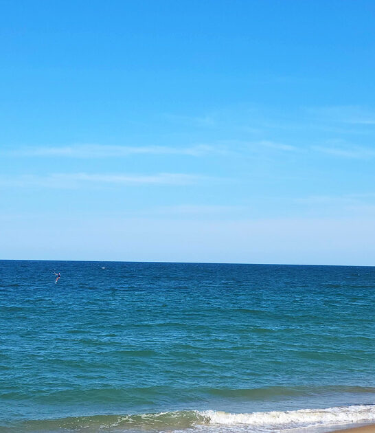 postcard worthy beach delaware ftr