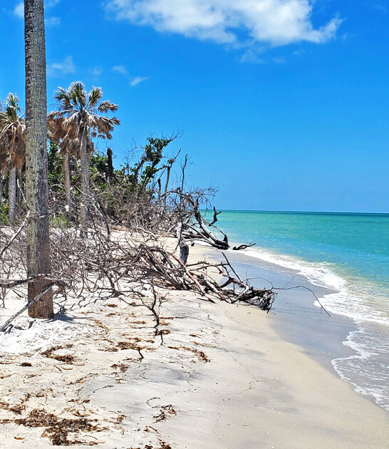 postcard worthy beach florida ftr