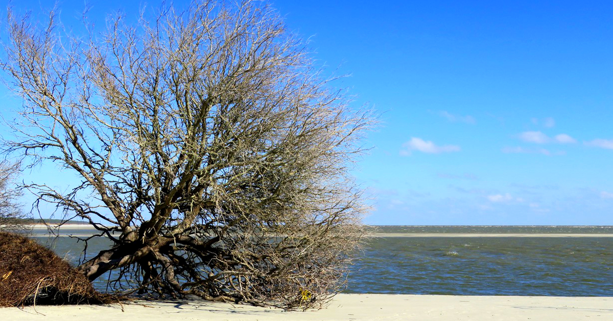 The Postcard-Worthy Beach In Georgia That Most People Don’t Know About