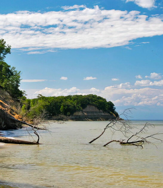 postcard worthy beach maryland ftr