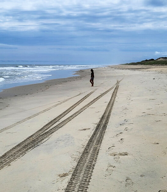 postcard worthy beach virginia ftr