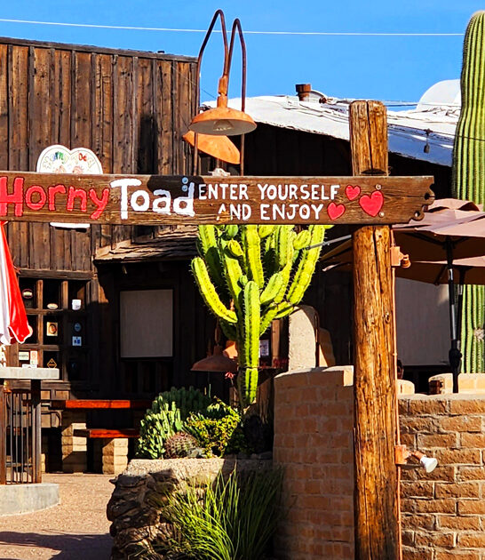 prime rib town arizona ftr