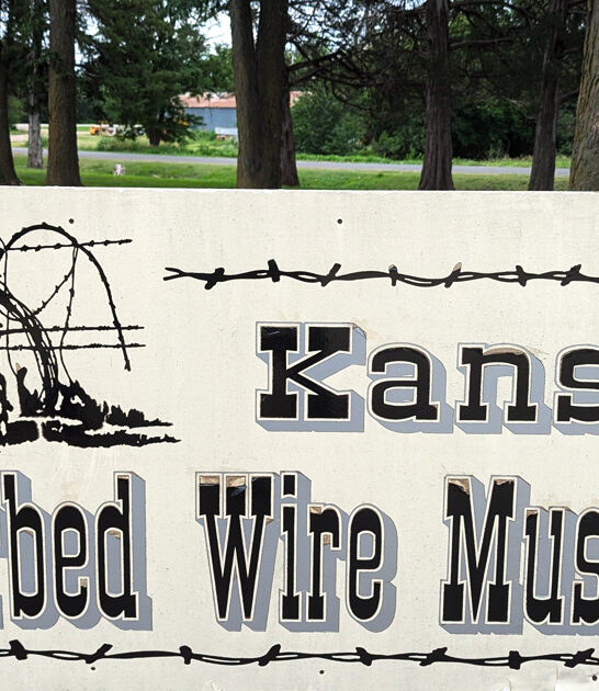 quirky barbed wire kansas ftr