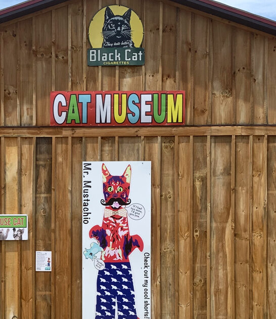 quirky museum north carolina ftr