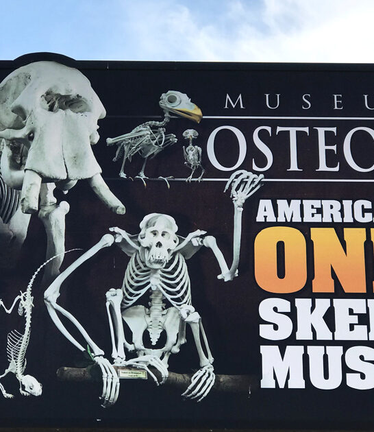 quirky skeleton museum oklahoma ftr