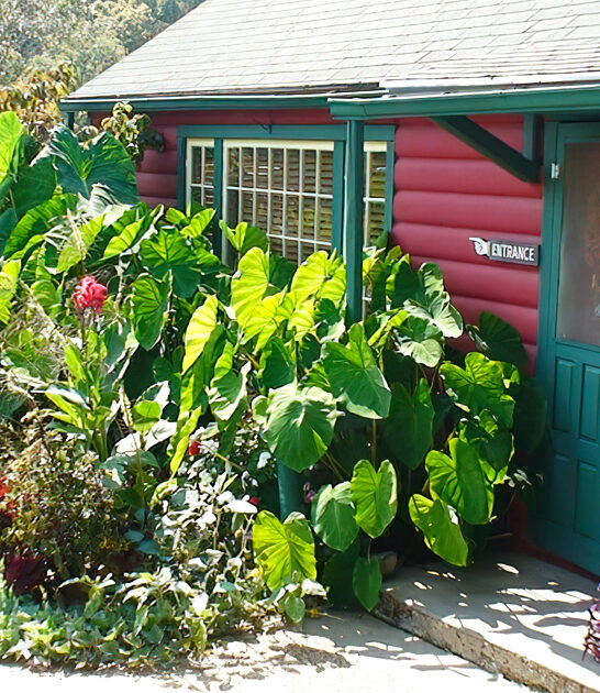 restaurant arkansas best steaks ftr