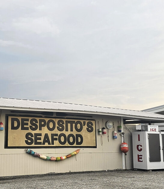 restaurant georgia dreamy seafood ftr