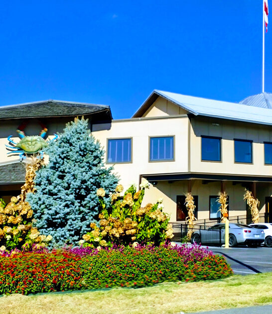 restaurants tennessee best seafood ftr