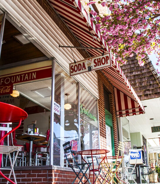 retro diner north carolina ftr