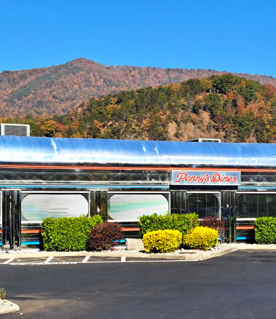retro diner virginia ftr