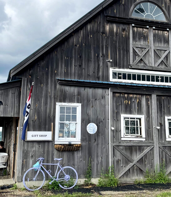 root new hampshire beer ftr